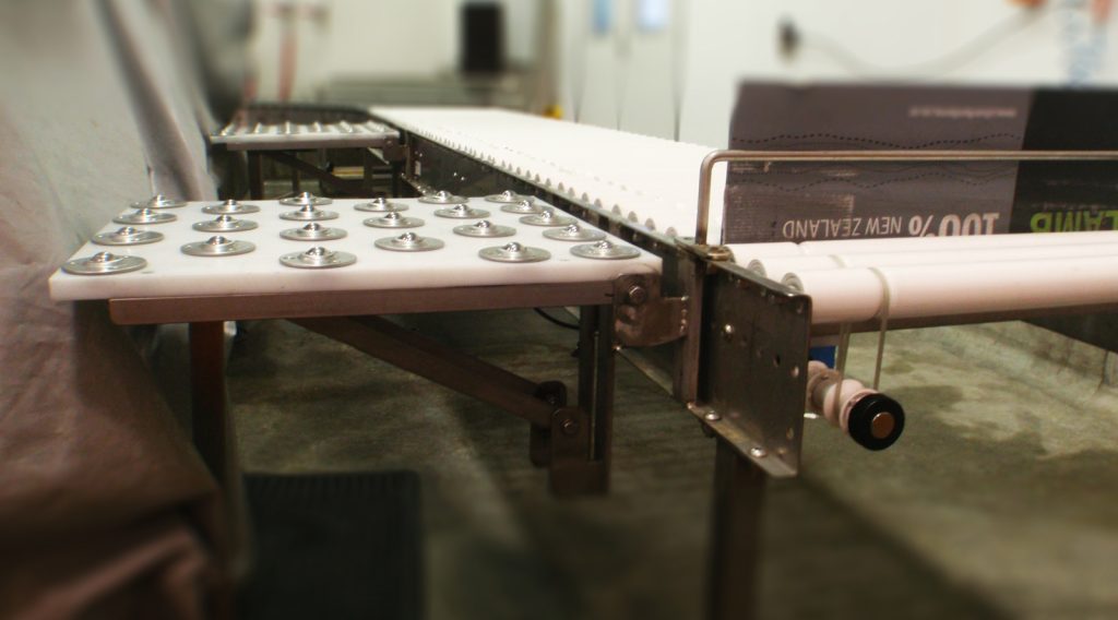 Ball Transfer Section | Gravity Roller Conveyor - Dyno Conveyors